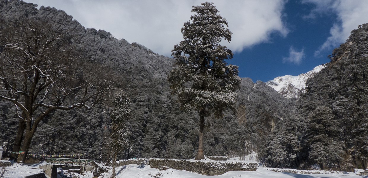 Dodital trek with Darwa top 2024 | (HT) HIMALAYA TREKKERS