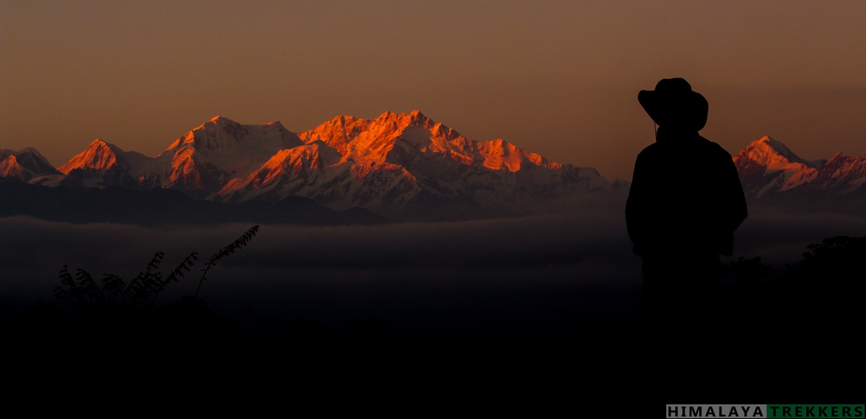 Barsey Rhododendron Sanctuary trek 2025 | HIMALAYA TREKKERS (HT)