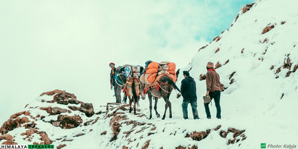 HIMALAYA-TREKKERS-HT-trekking-in-indian-himalayas | HIMALAYA TREKKERS