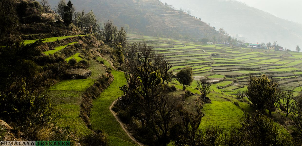 Nag Tibba Trek 2022 - 24 | Shortest hike from Delhi Dehradun | HT Treks