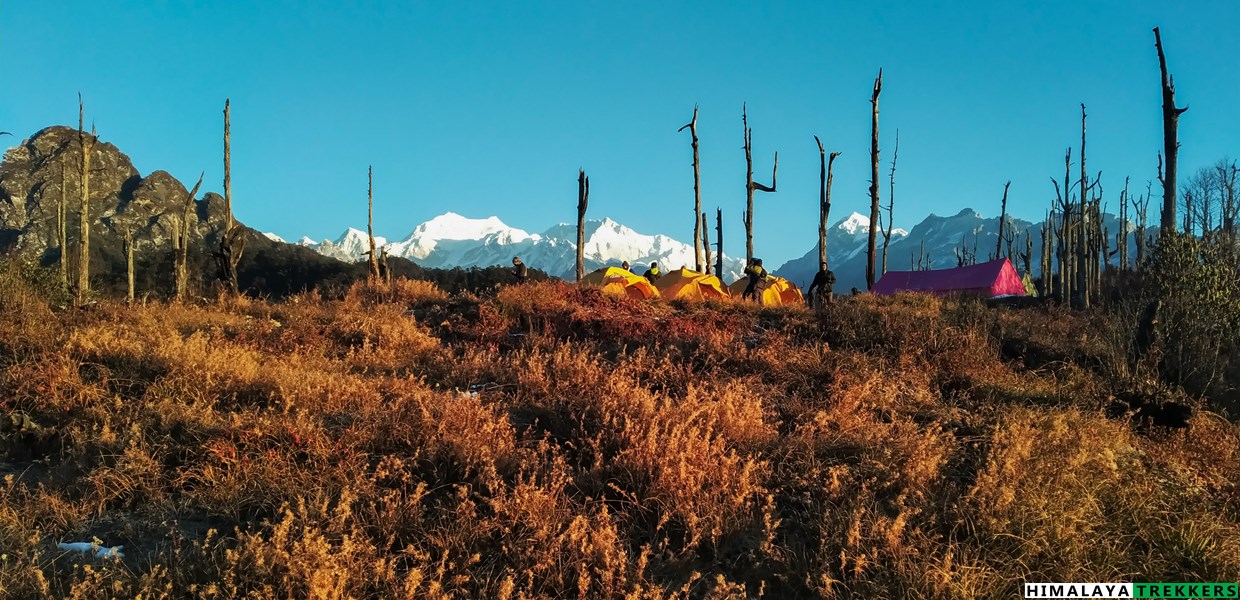 Bajre Dara trek in Sikkim: winter and spring trek 2021 | HT treks
