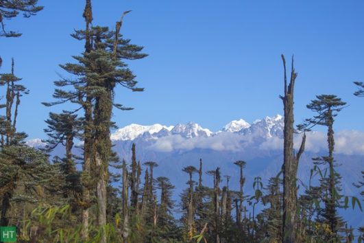 Maenam Trek in Sikkim - Do it yourself | HIMALAYA TREKKERS