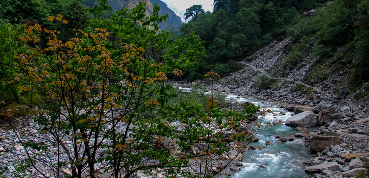 Pindari Glacier Trek 18th May 2025 | HIMALAYA TREKKERS (HT)