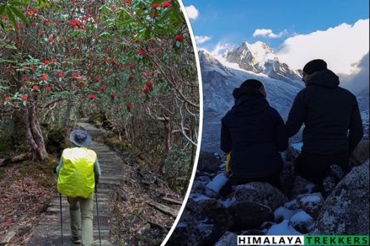 Trekking in Sikkim: Best treks and trails around | HIMALAYA TREKKERS