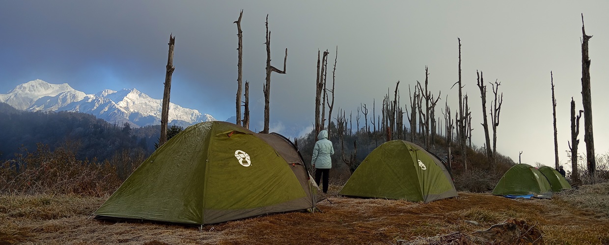 Bajre Dara trek A short hike in SIkkim with great Kanchejungha views